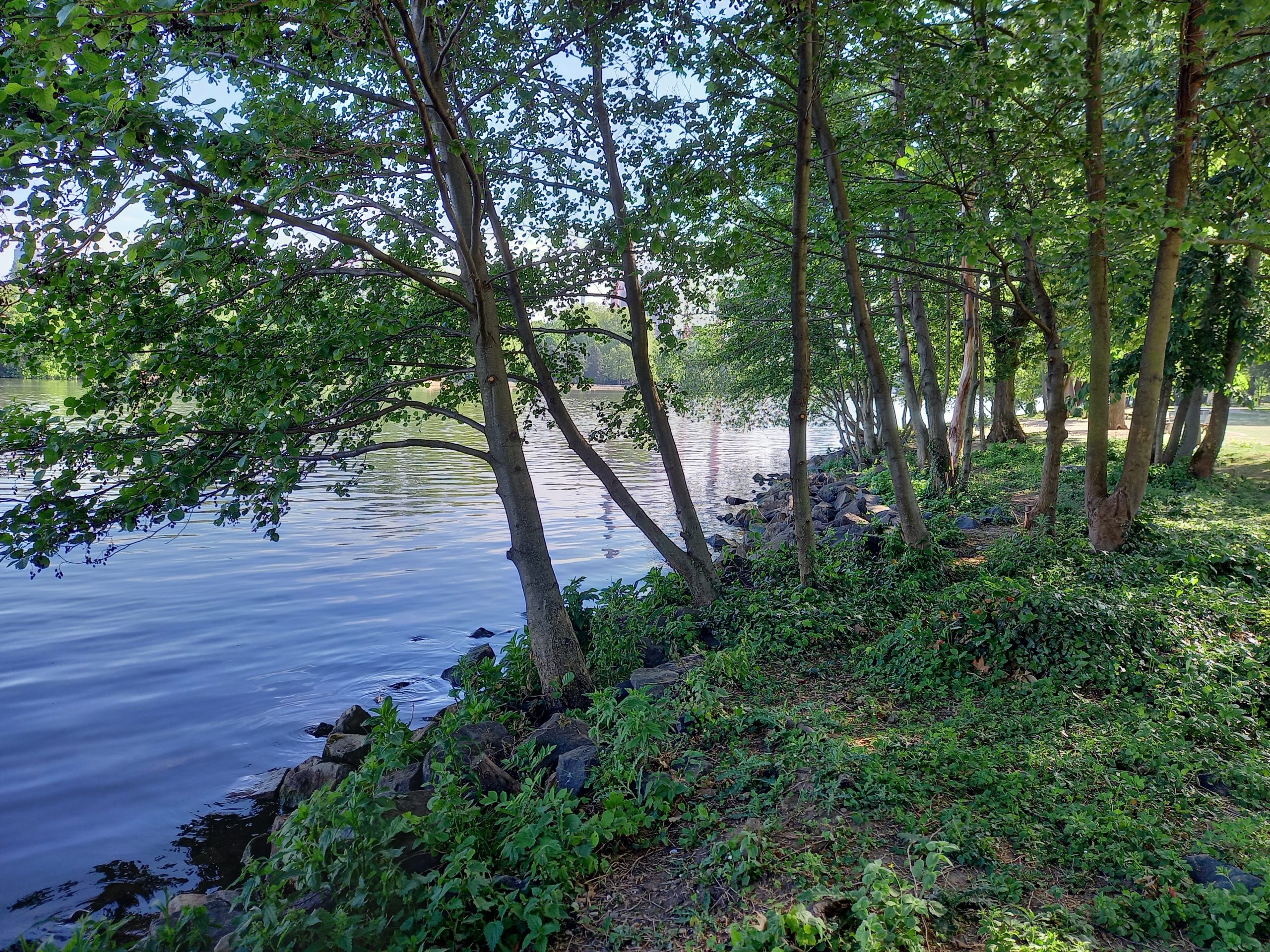 Grünes Frankfurt: Niederrad - ErlebnisRaum Frankfurt