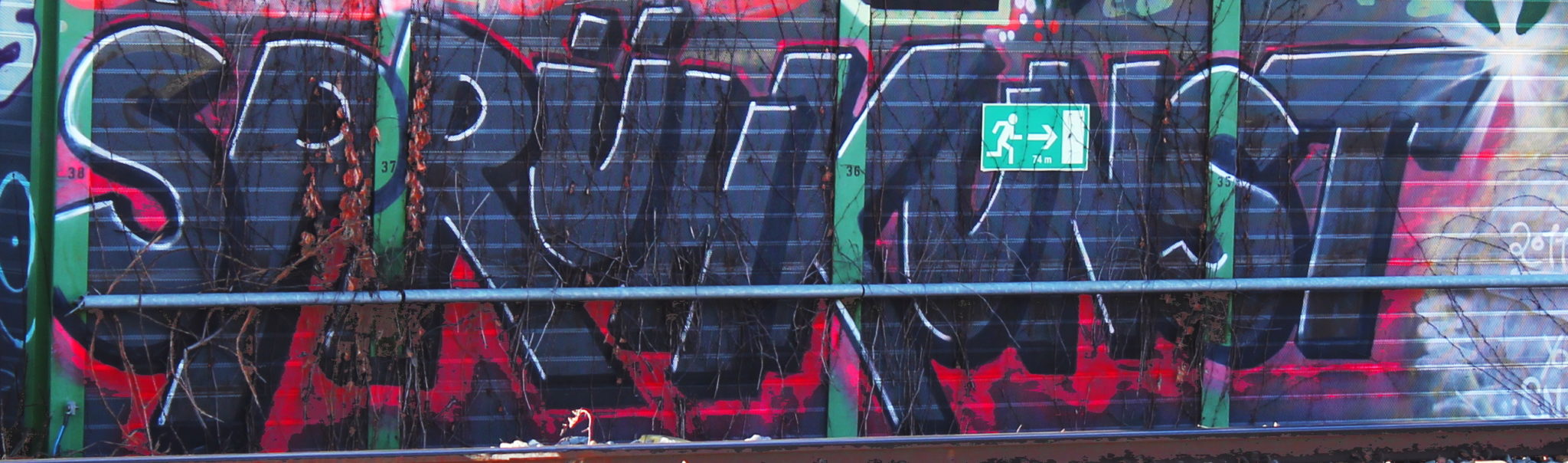 Street Art - die Straße als Kunstgalerie - ErlebnisRaum Frankfurt