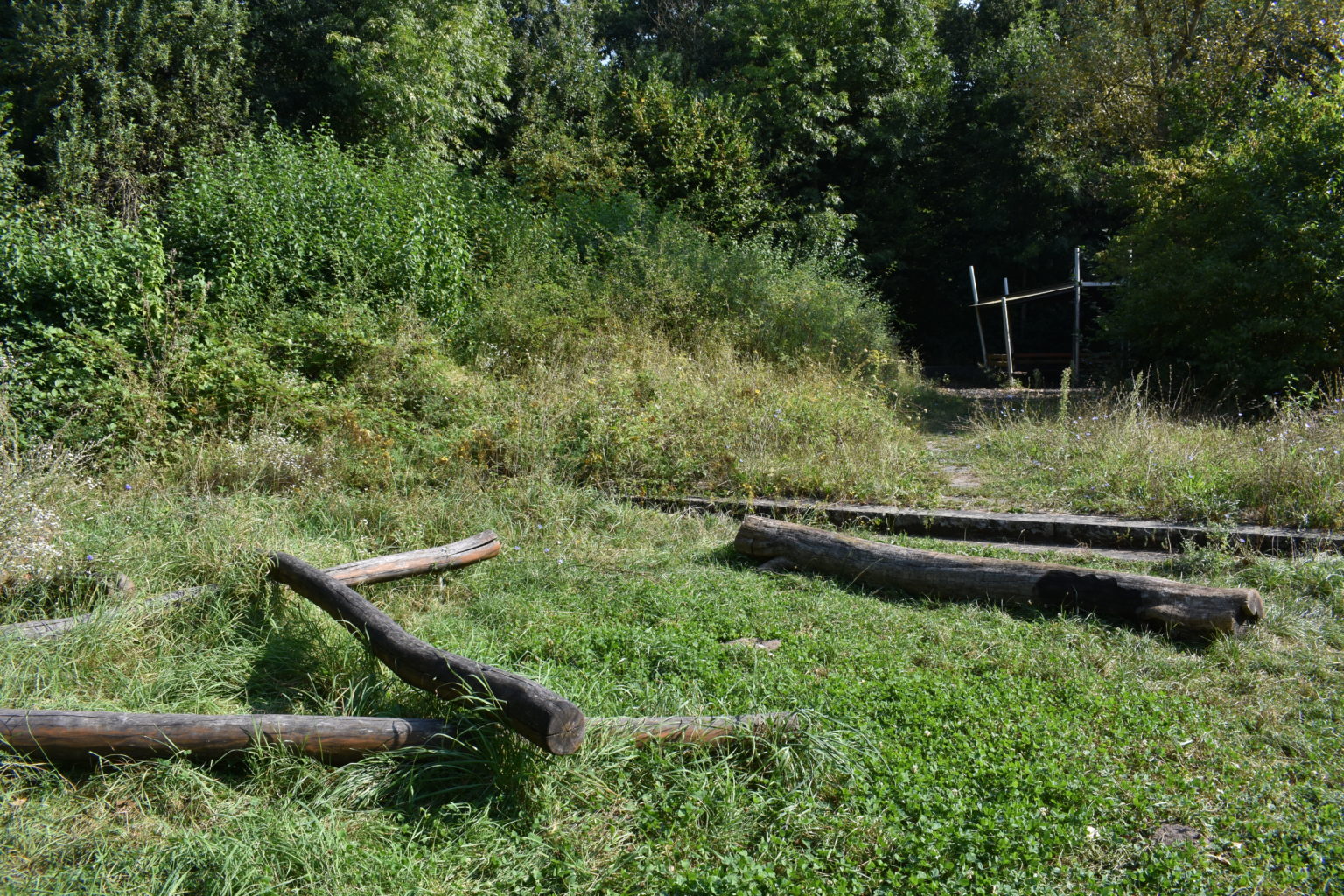 Bonames – Altes Dorf, neues Viertel - ErlebnisRaum Frankfurt